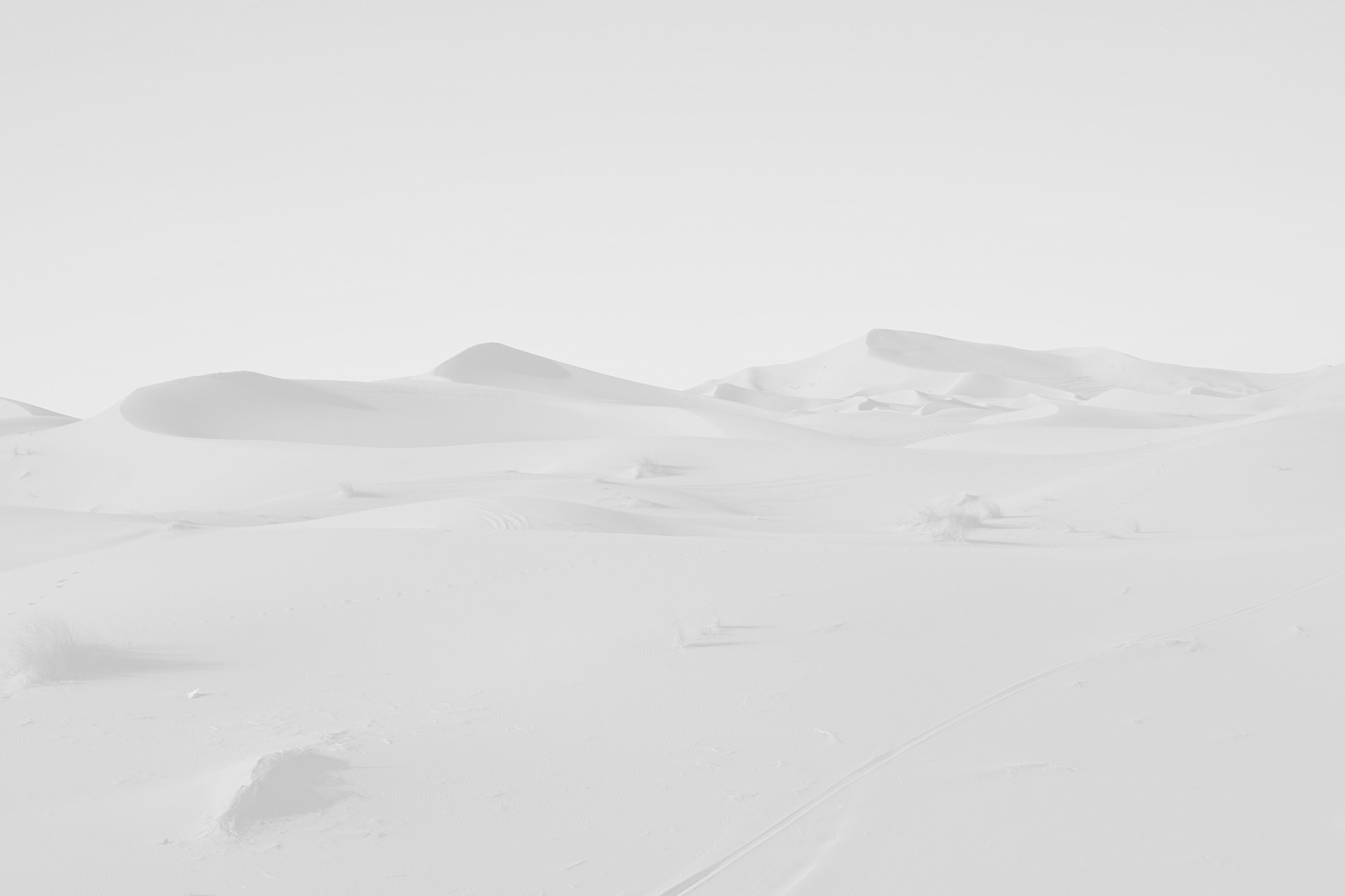 Insulation & Membrane – OFP Timber Frame