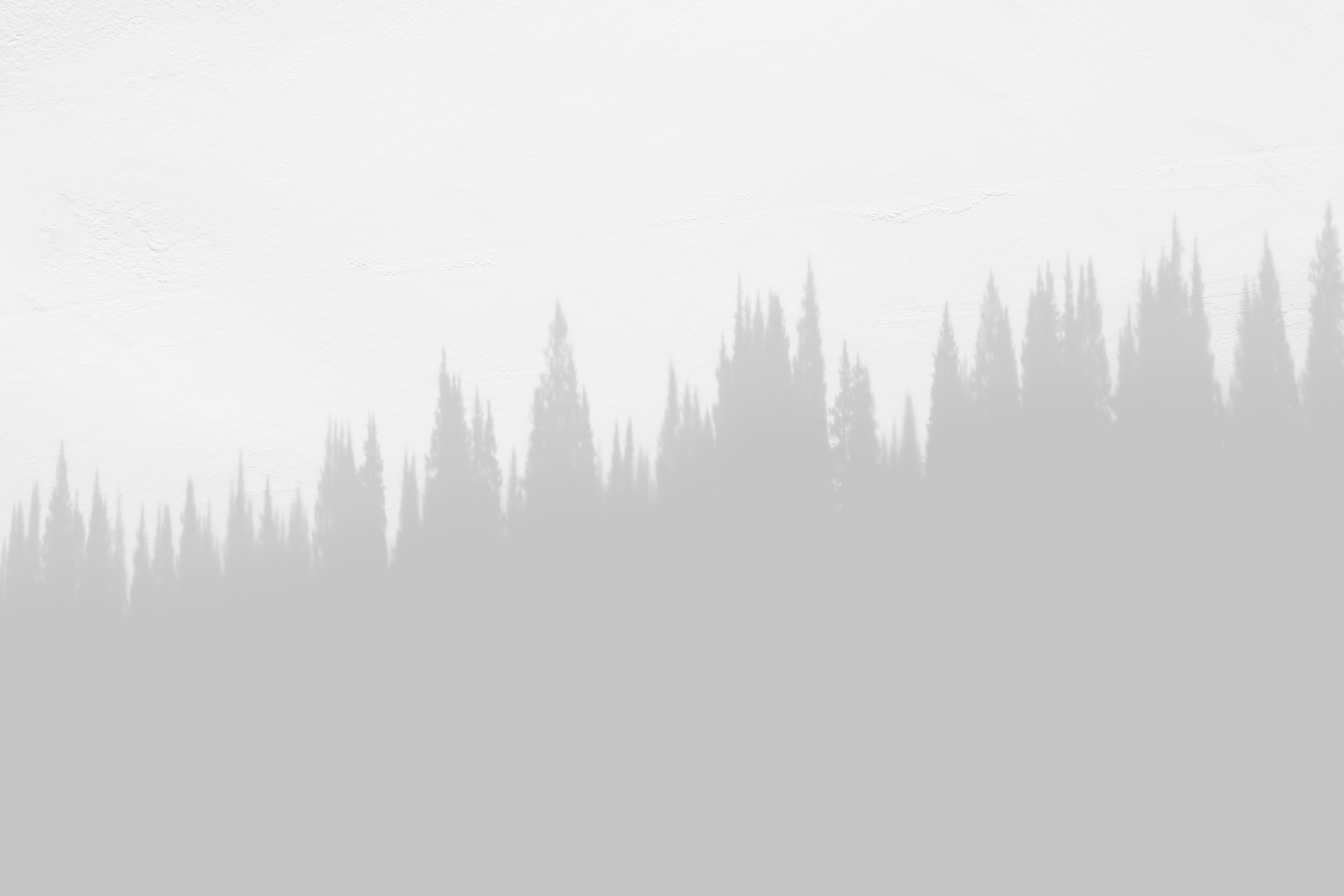 Insulation & Membrane – OFP Timber Frame